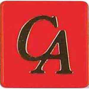 Square Tokens, Custom Decorated With Your Logo!